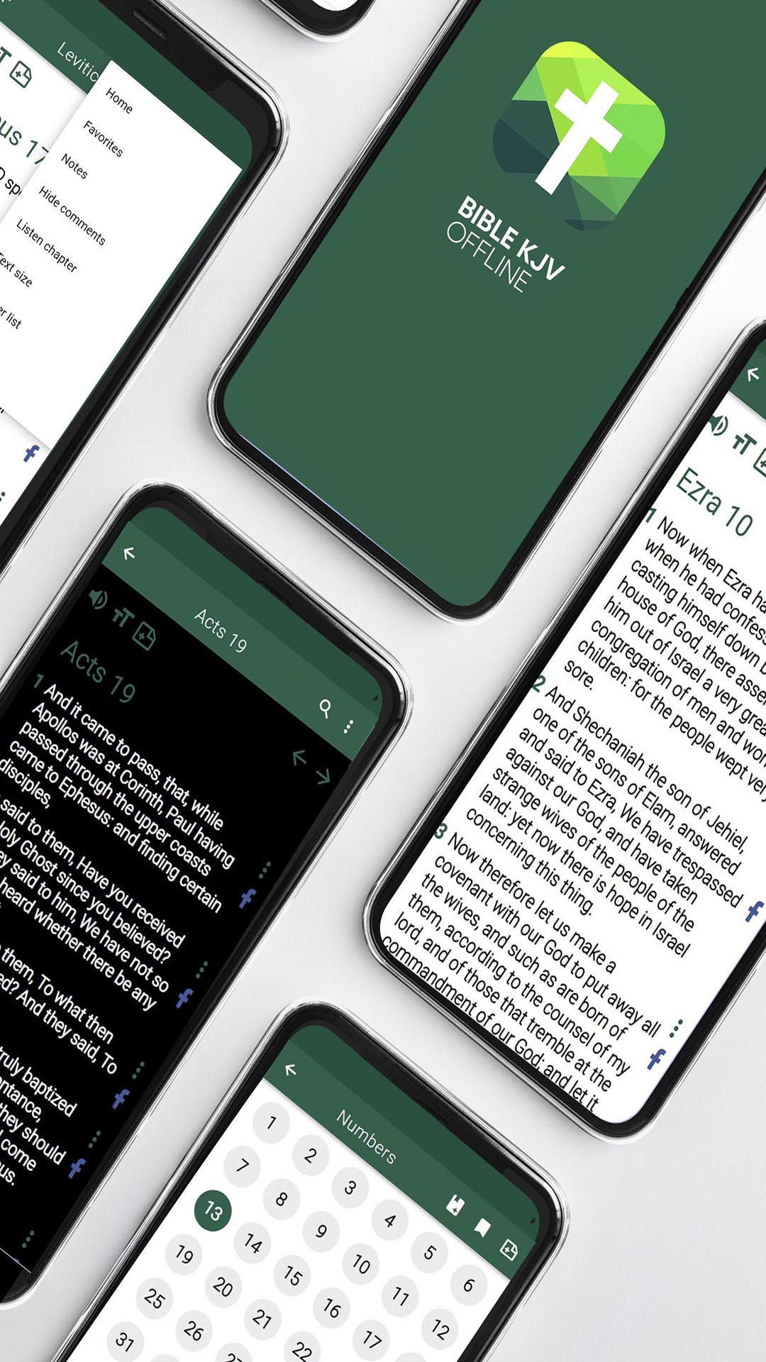 Bible KJV Offline La Biblia Sagrada Bible KJV Offline La Biblia Sagrada